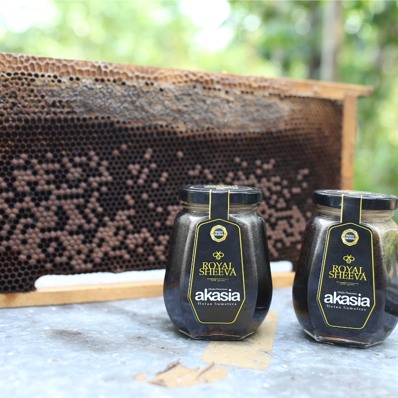 Madu Murni Akasia - Madu Royal Sheeva