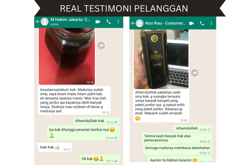 Madu Murni Akasia - Madu Royal Sheeva